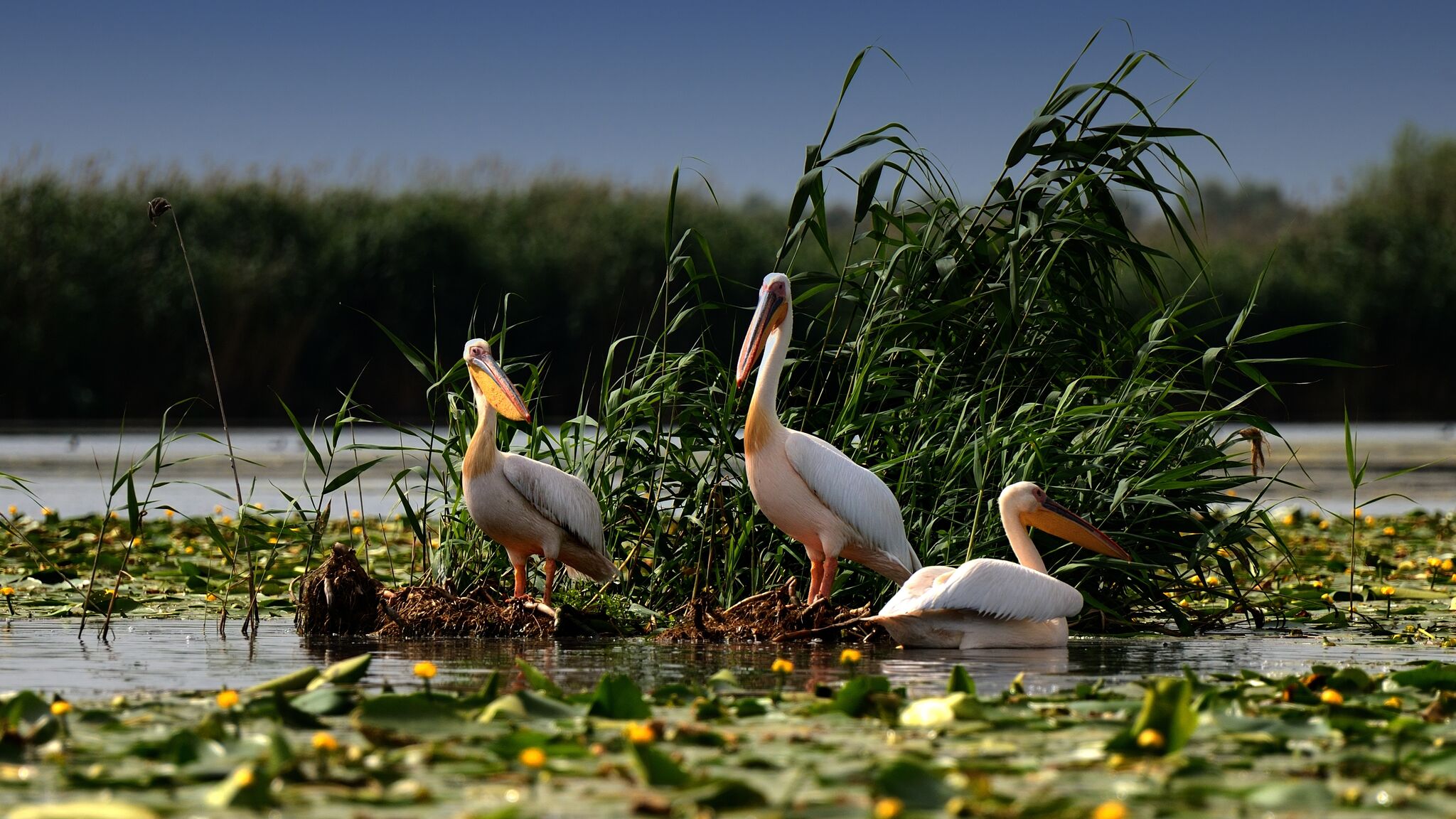 Donaudelta | Ethnographische Geo-Expeditionen